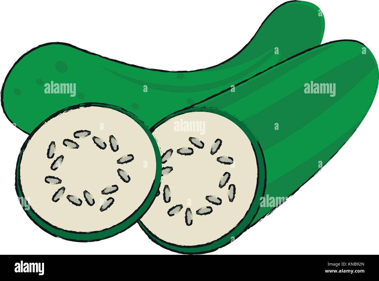 Fresh sliced cucumber Stock Vector Image & Art - Alamy