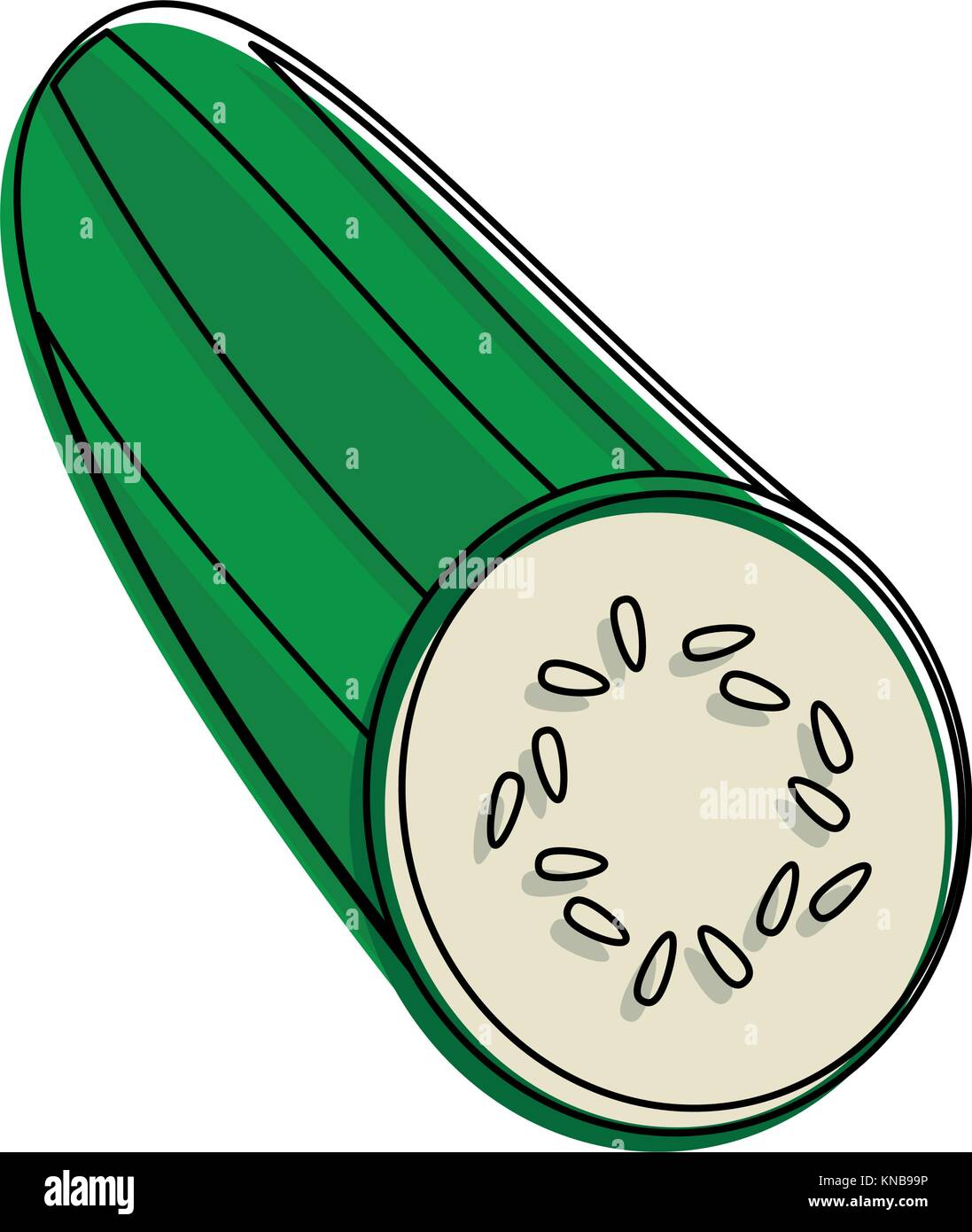 Fresh sliced cucumber Stock Vector Image & Art - Alamy