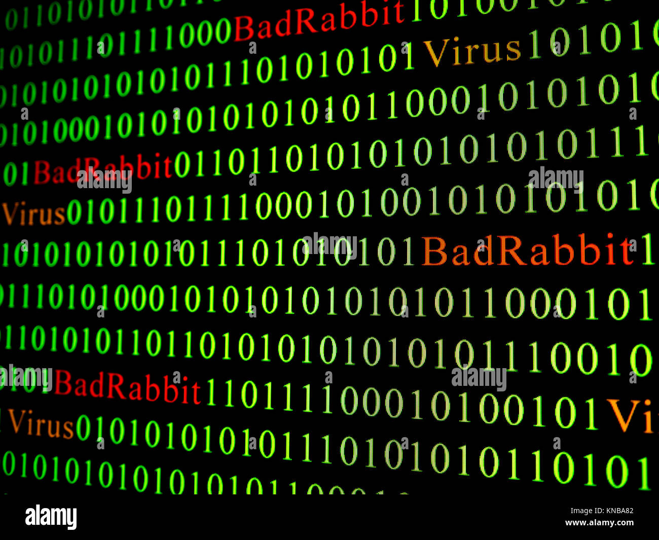 Concept of security and virus and Bad Rabbit Ransomware. Red text of ...
