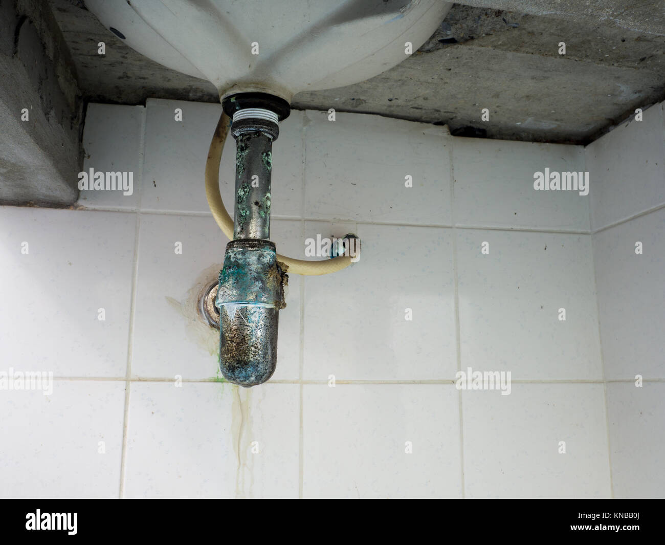 Green rust around the wash basin pipe.Dirty and germs round pipe Stock ...
