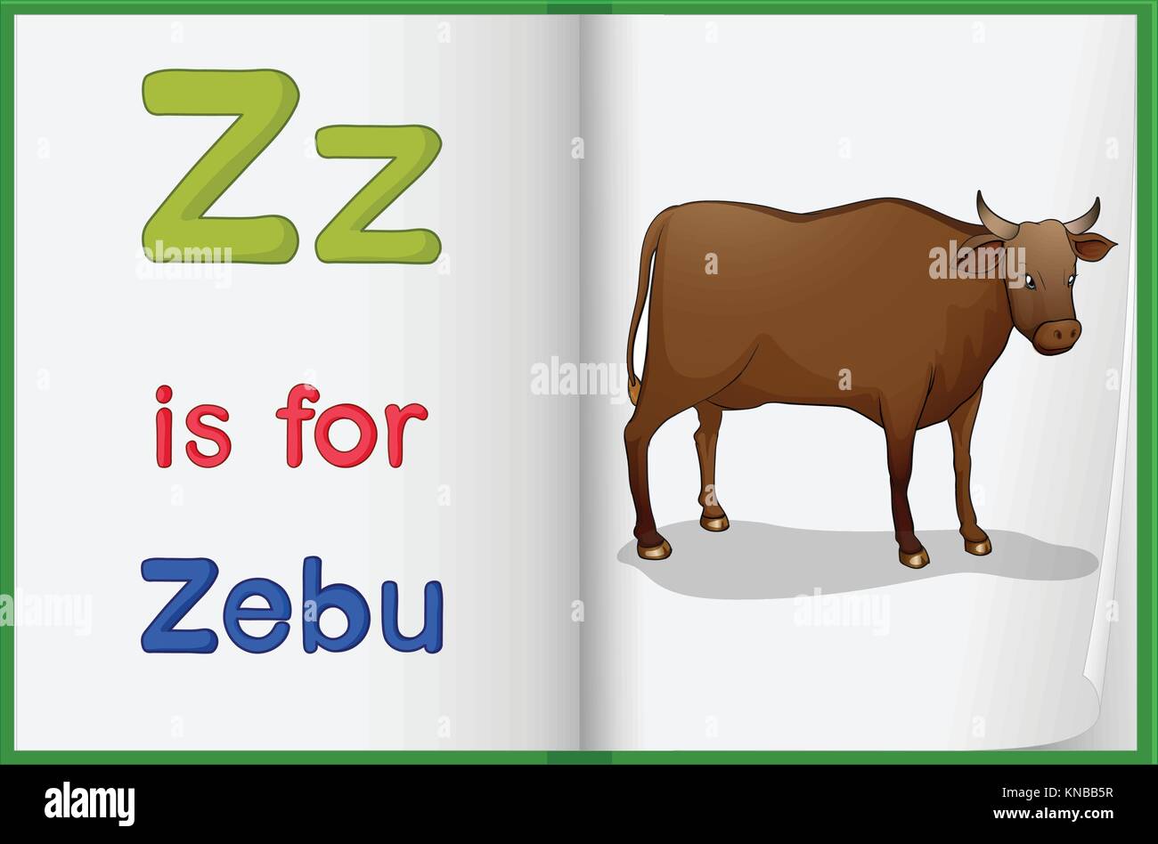 Illustration of a zebu in a book on a white background Stock Vector ...