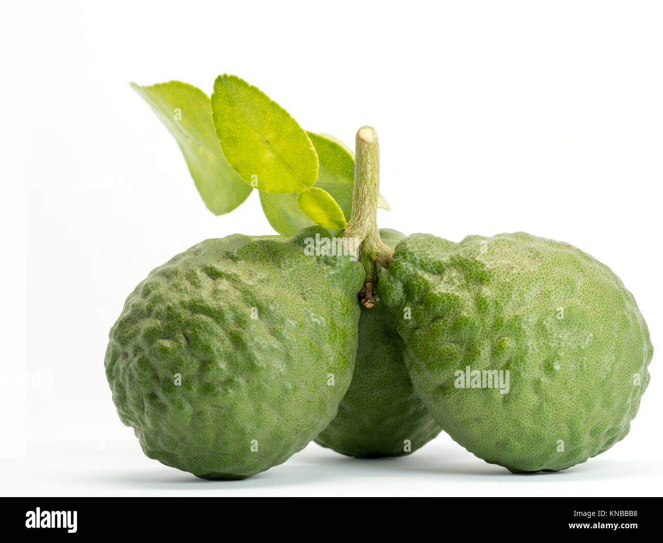 close up group of fresh bergamot with green leaves isolated on white ...
