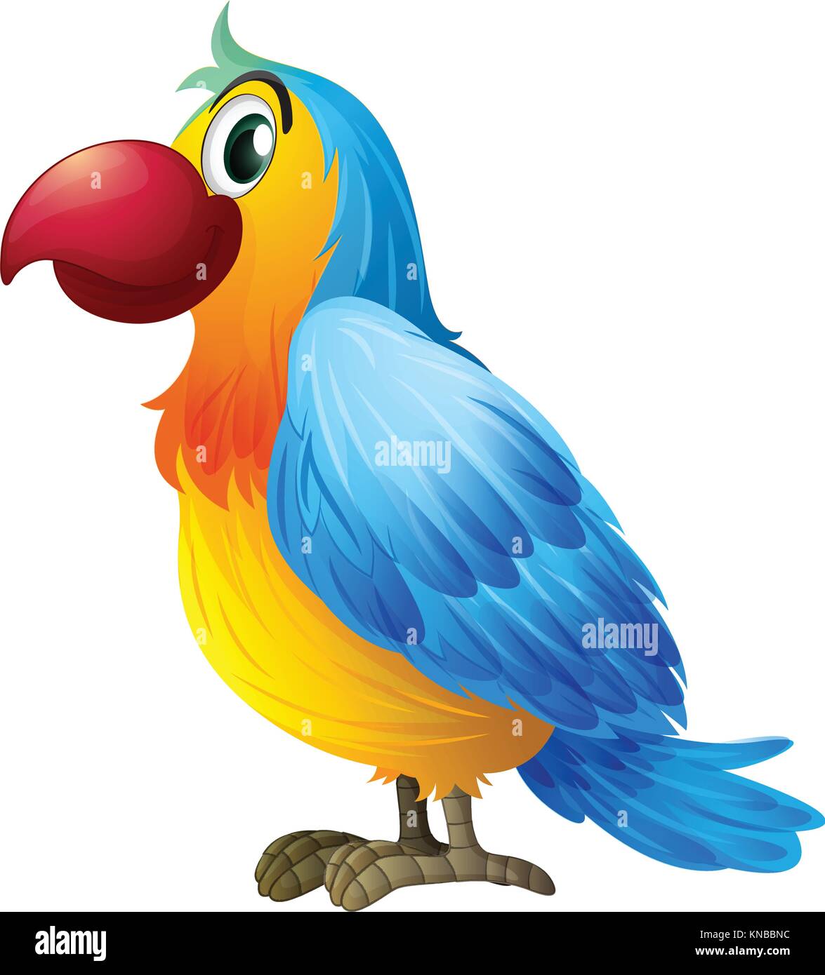 Illustration of a colorful parrot on a white background Stock Vector ...