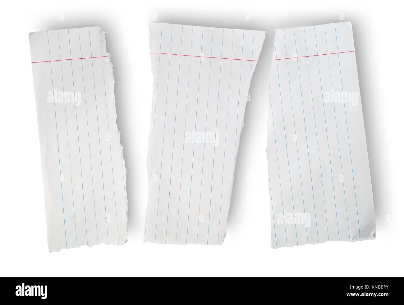 Torn sheet of paper from a school notebook isolated on white background ...