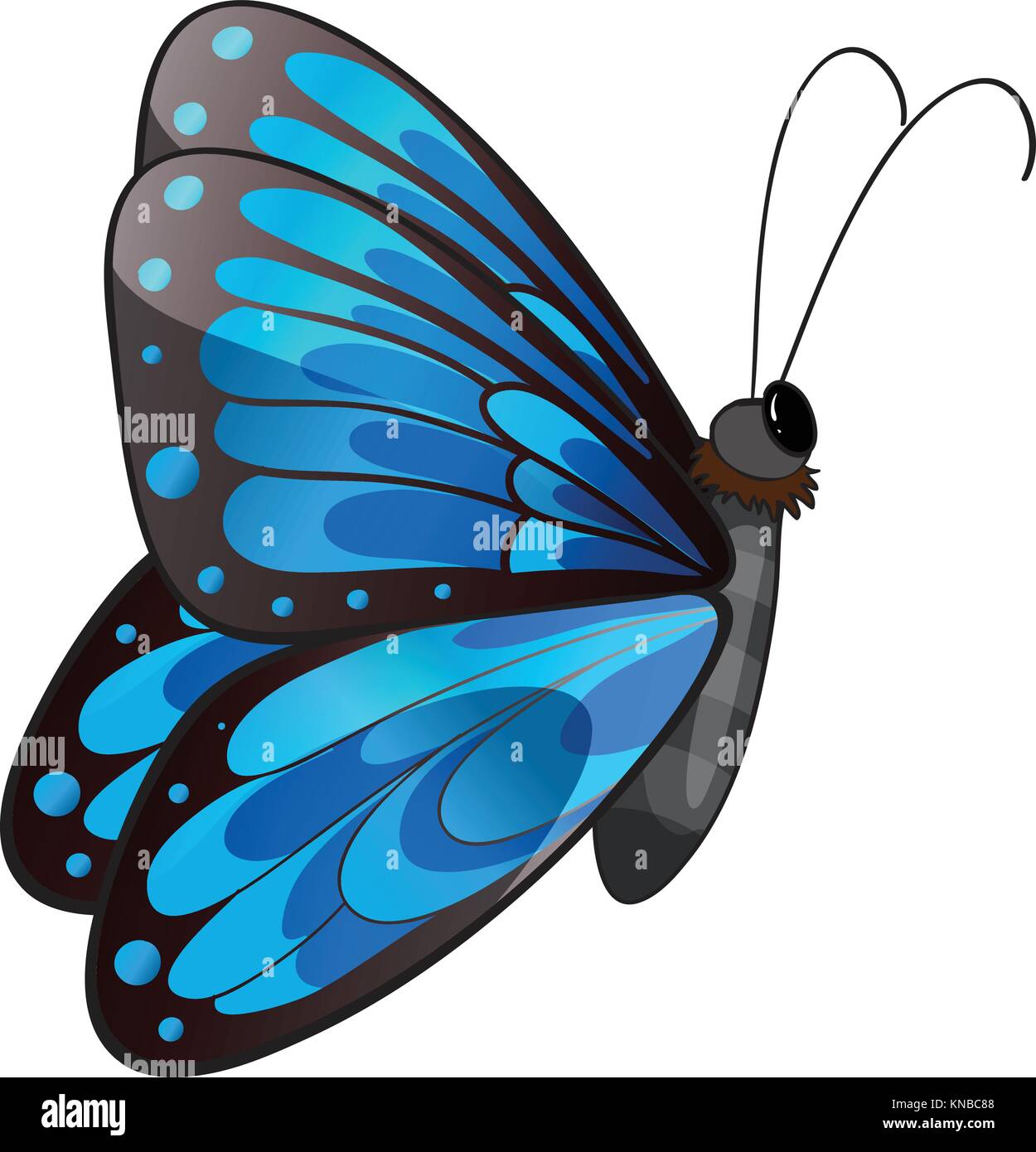 Illustration of a blue butterfly on a white background Stock Vector ...