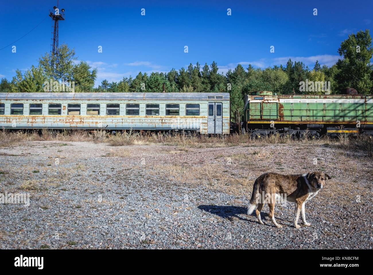 Human ghost of the ghost train hi-res stock photography and images - Alamy