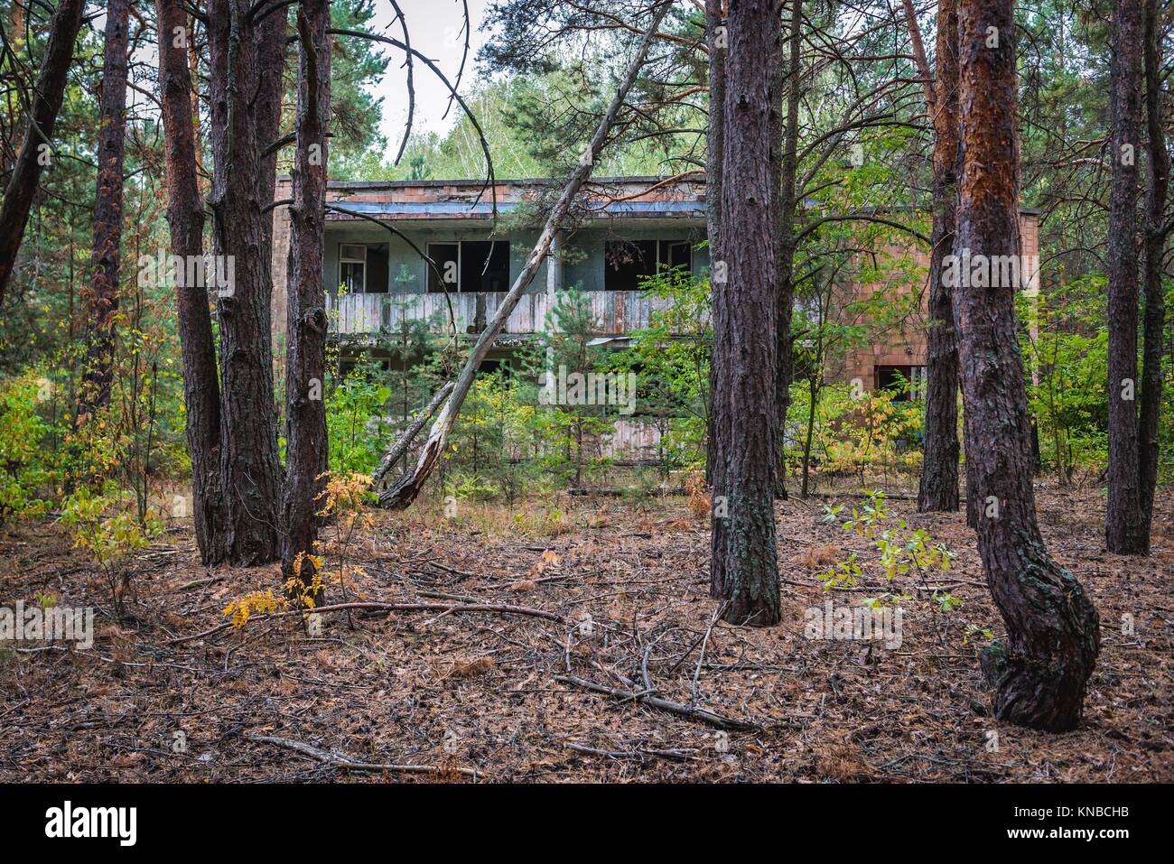 Overgrown nature in chernobyl hi-res stock photography and images - Alamy