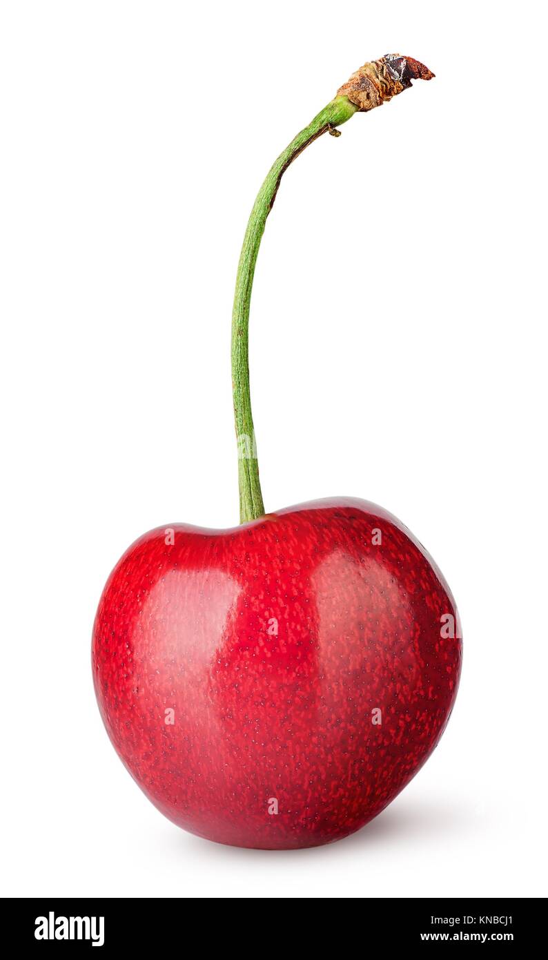 Single sweet cherry vertically isolated on white background Stock Photo ...