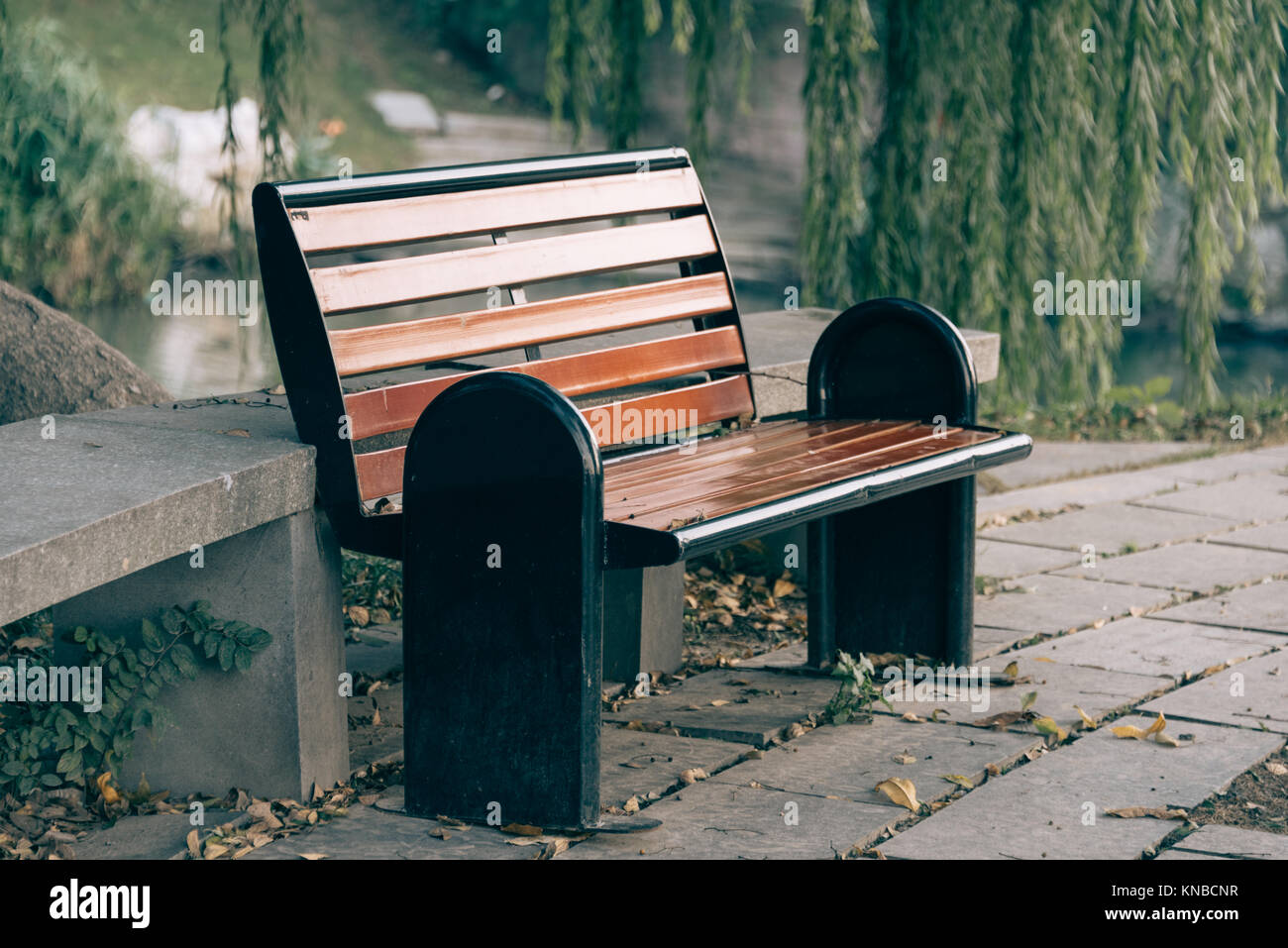Bench under trees in a park in city of China Stock Photo - Alamy