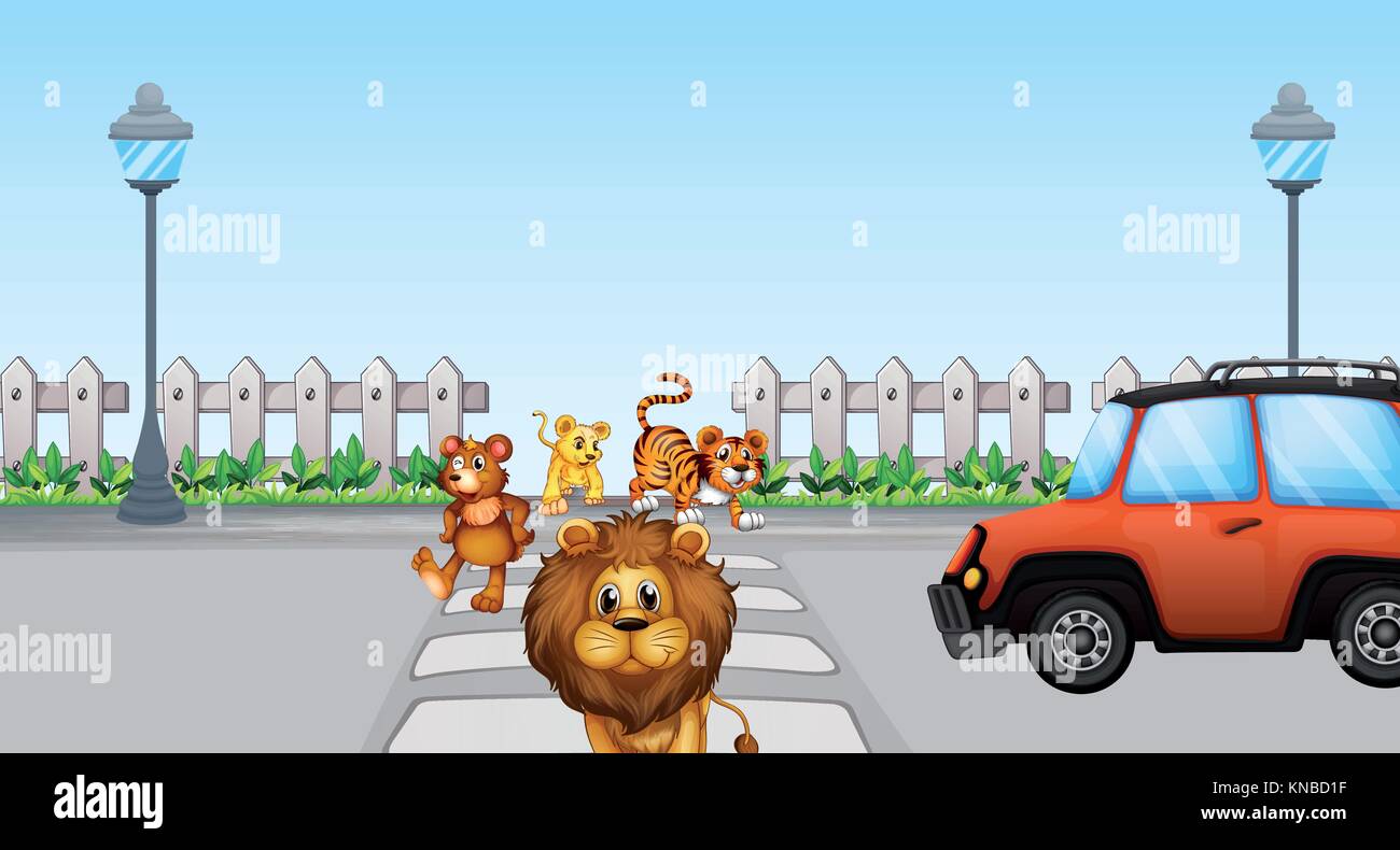 Animals Car Road Wildlife Of Africa Introducing The Big Five