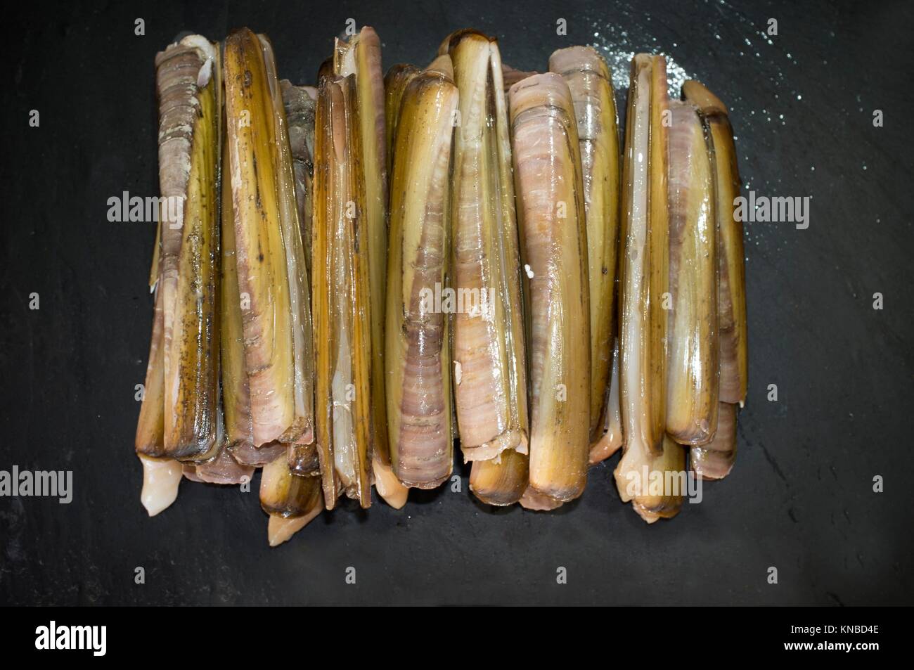 Razor shell ensis arcuatus hi-res stock photography and images - Alamy