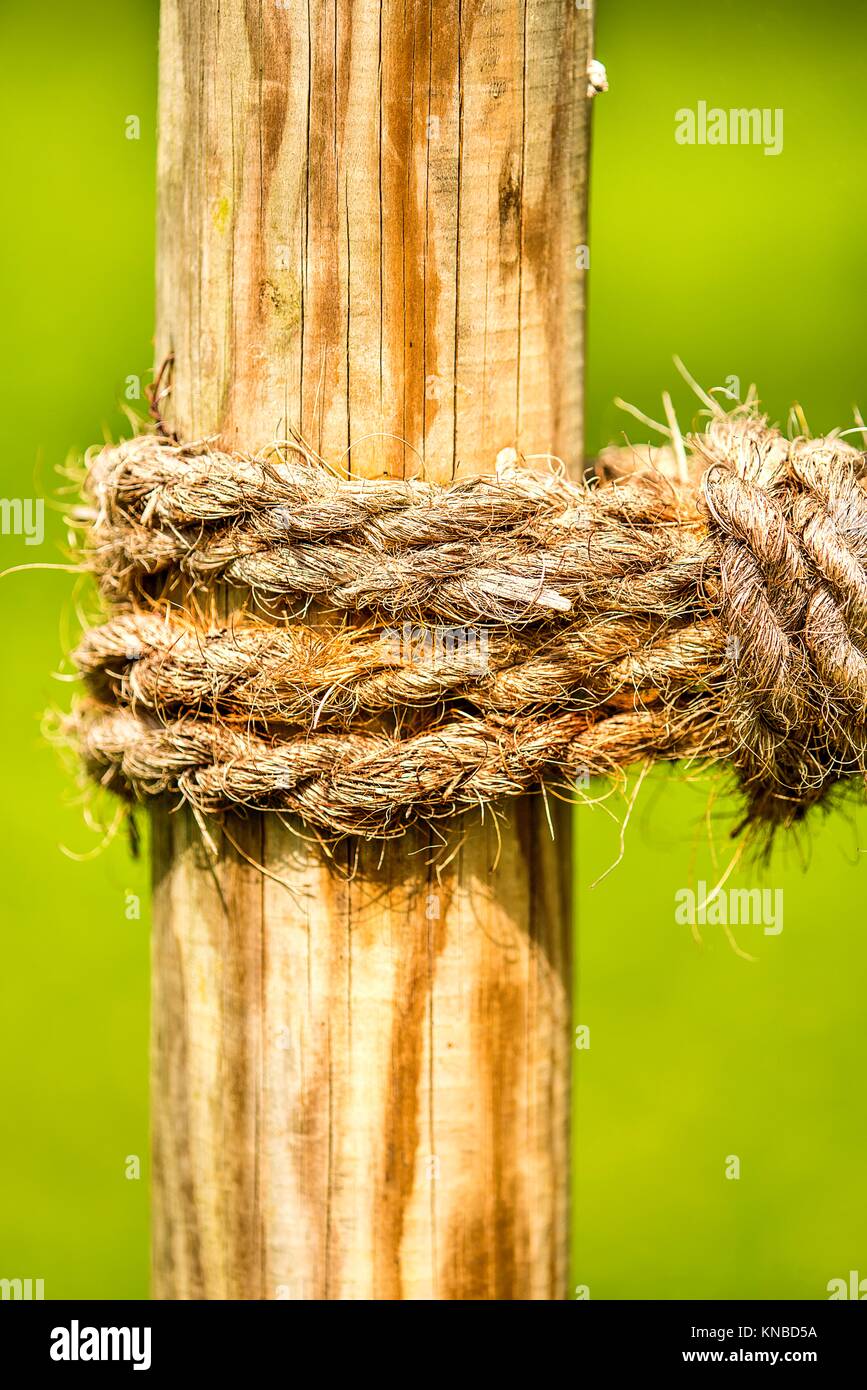 Green Rope Stock Photos & Green Rope Stock Images - Alamy