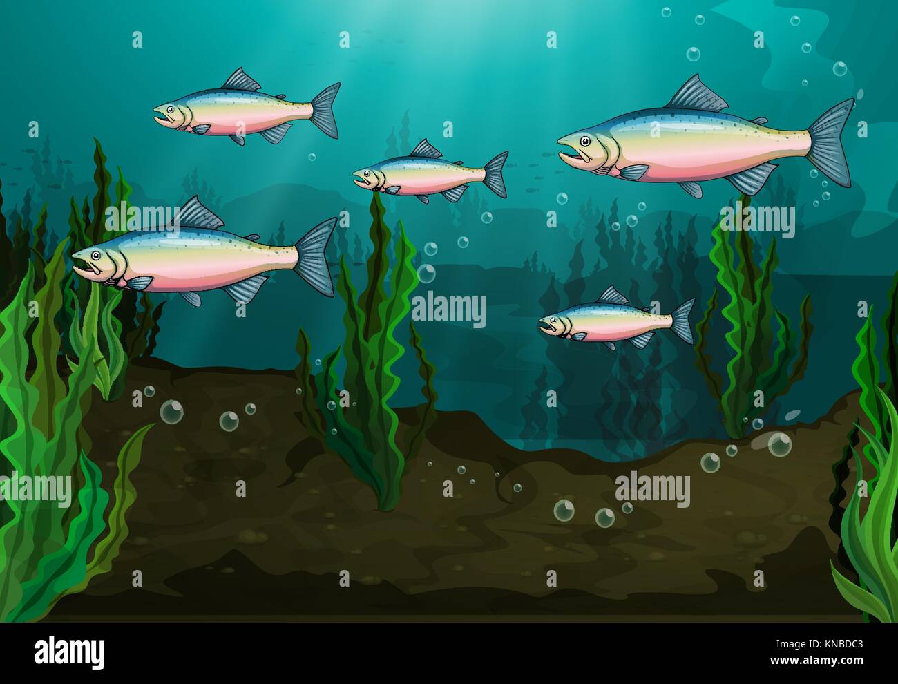 School of baby fish Stock Vector Images - Alamy