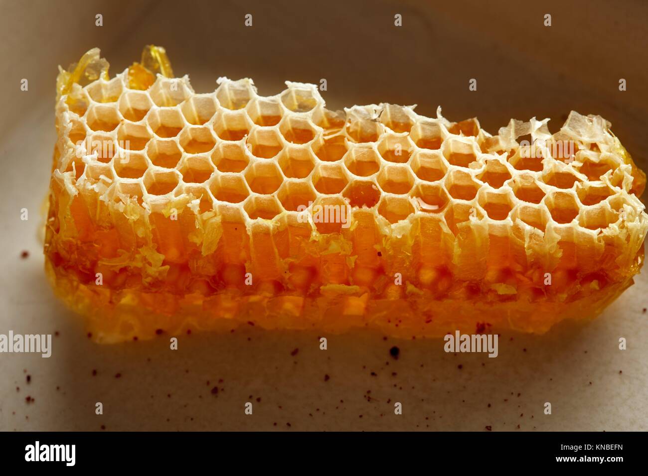 Honeycomb shapes hi-res stock photography and images - Alamy