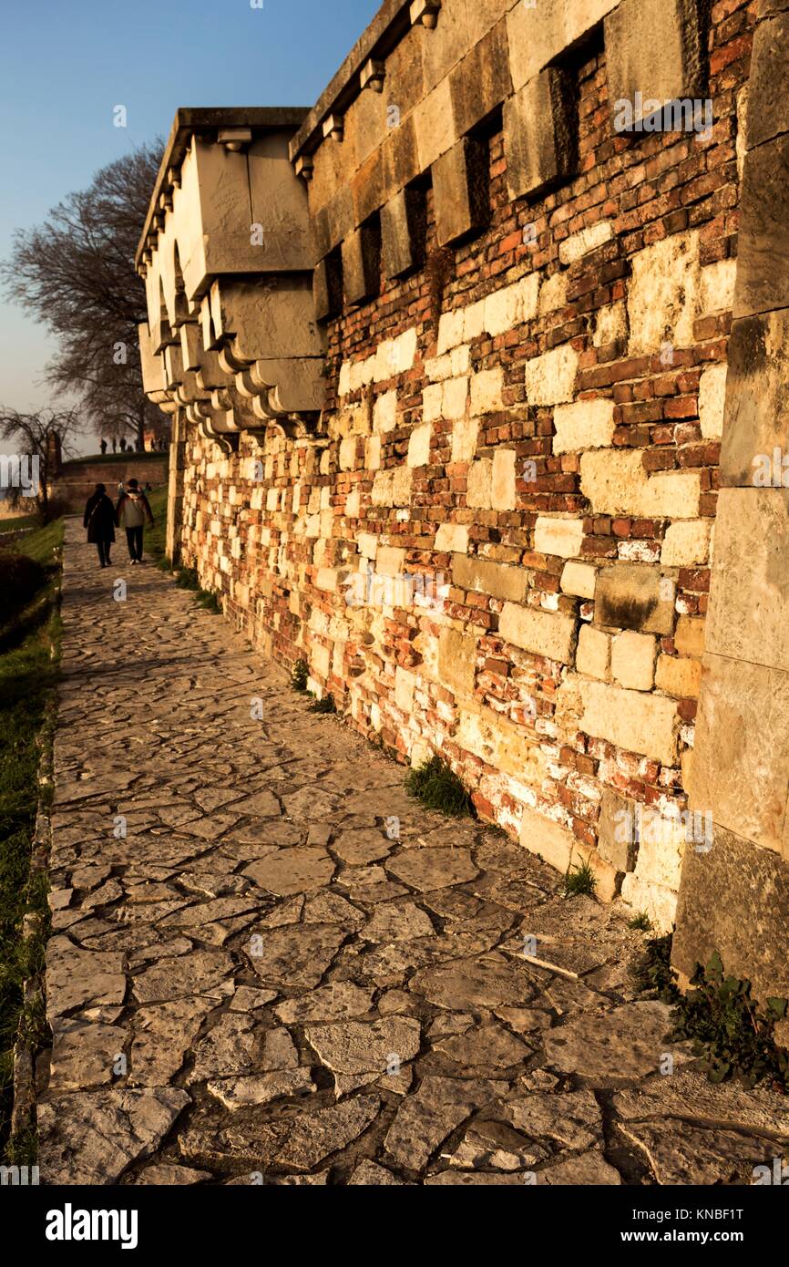 Dark stone wall interior hi-res stock photography and images - Alamy