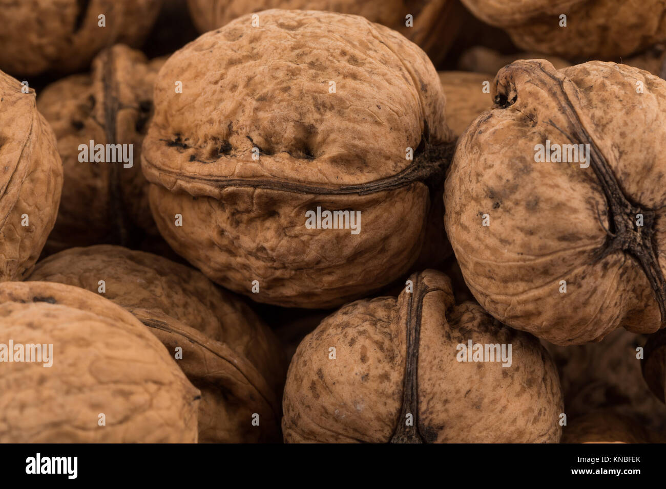 Walnut nut close up photo for a background Stock Photo - Alamy