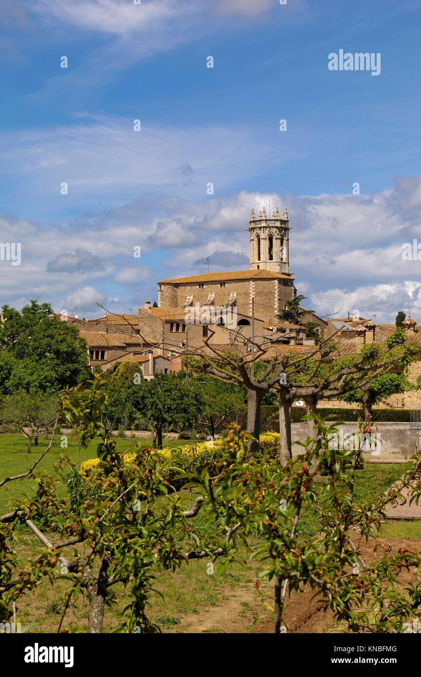 Pera la hi-res stock photography and images - Alamy