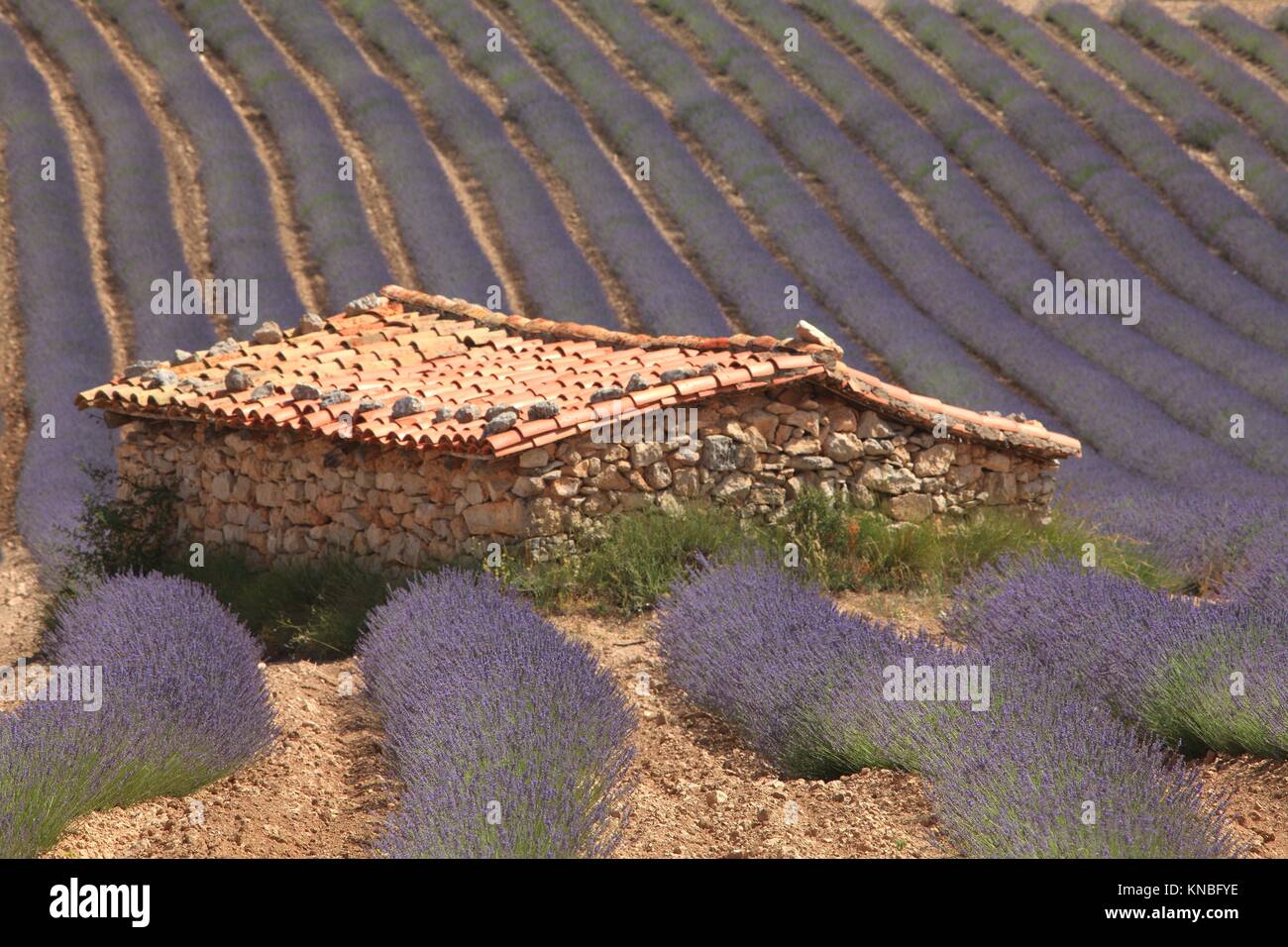 Ademuz rincon hi-res stock photography and images - Alamy