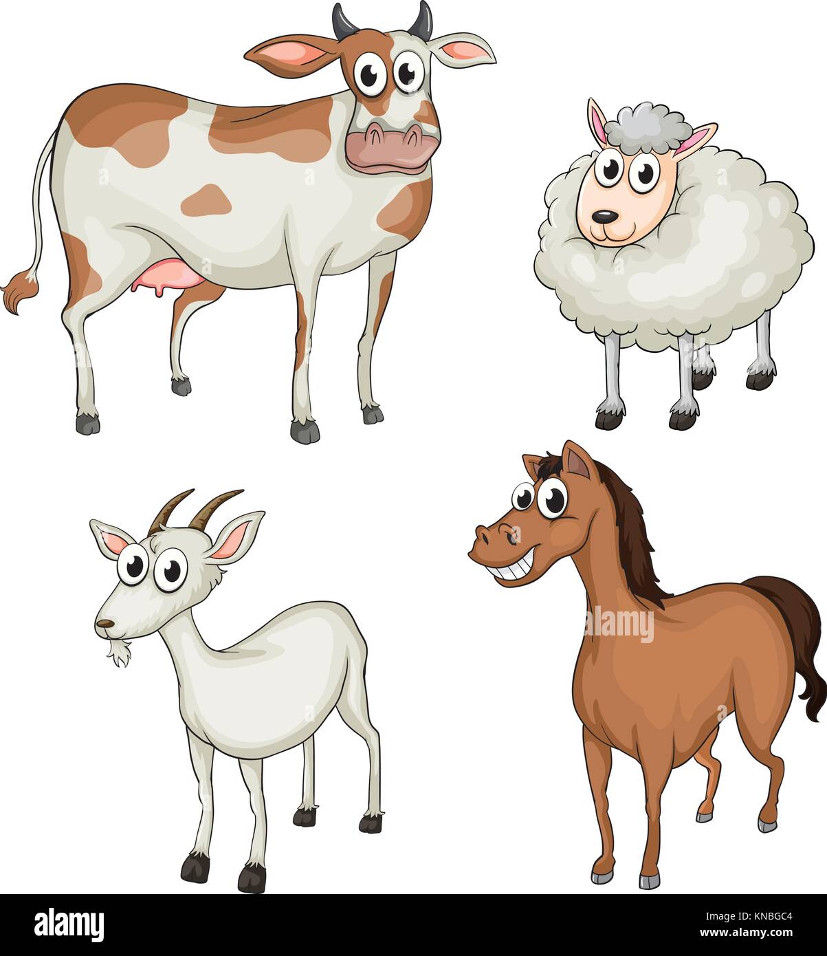 Farm animals group sheep pic hi-res stock photography and images - Alamy