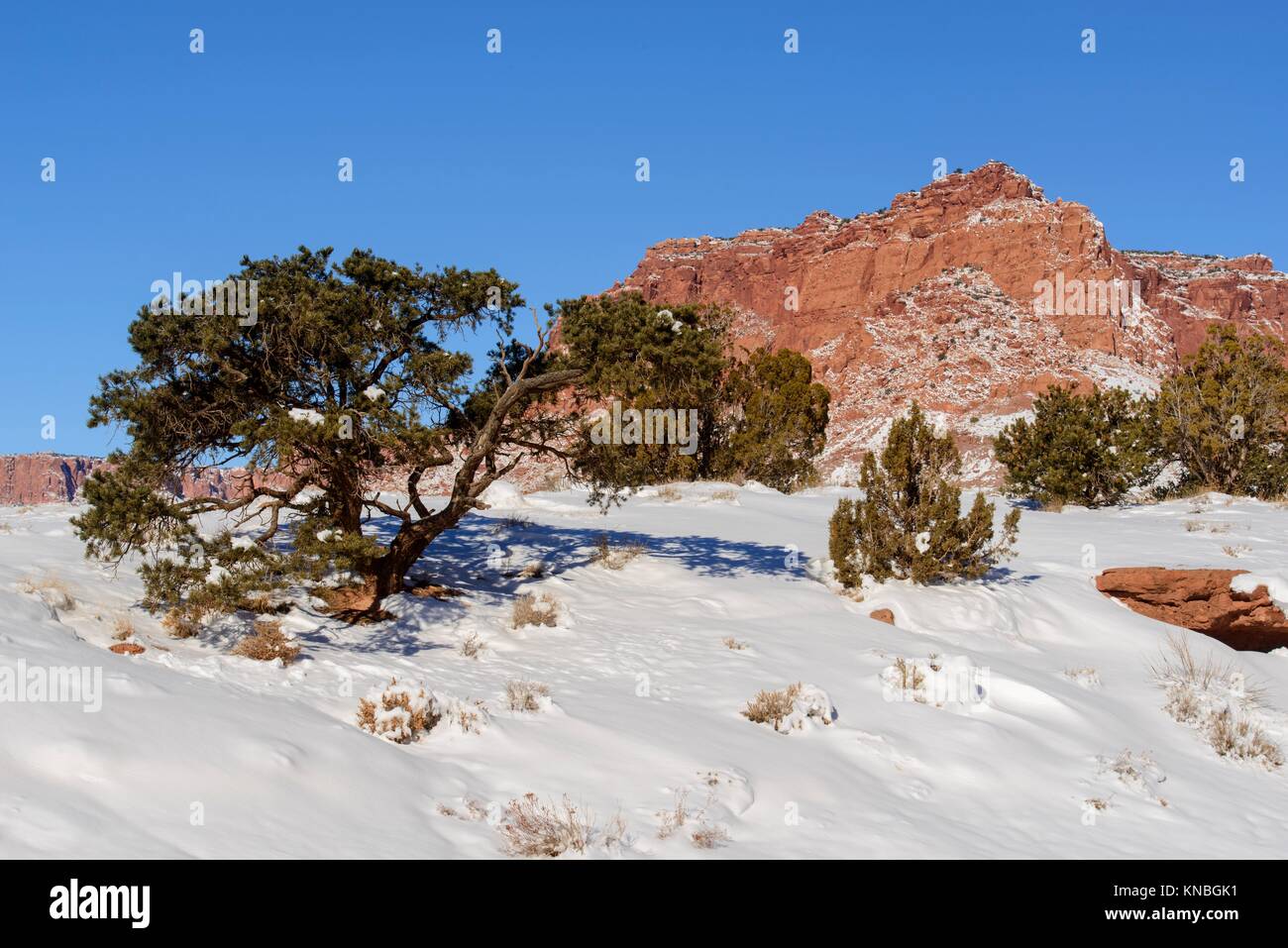Recent snow in the high desert, Capitol Reef National Park, Utah, USA ...