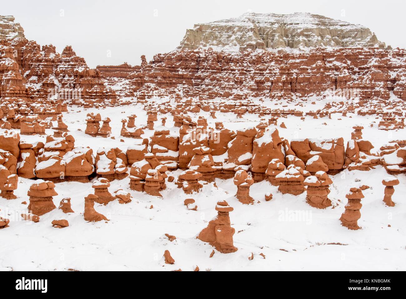 Snow goblin hi-res stock photography and images - Alamy