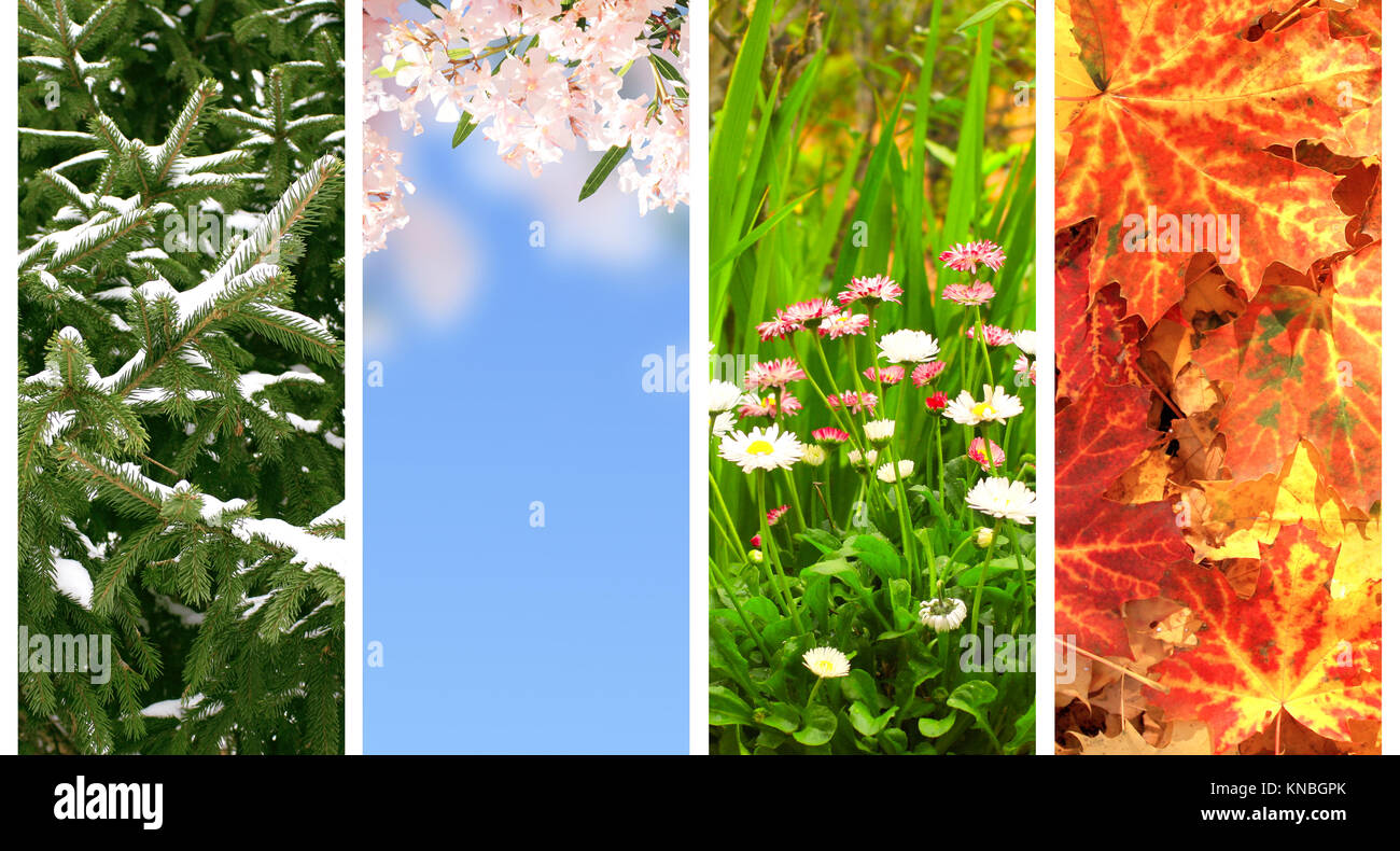 Four seasons of year. Collection of vertical nature banners with winter ...