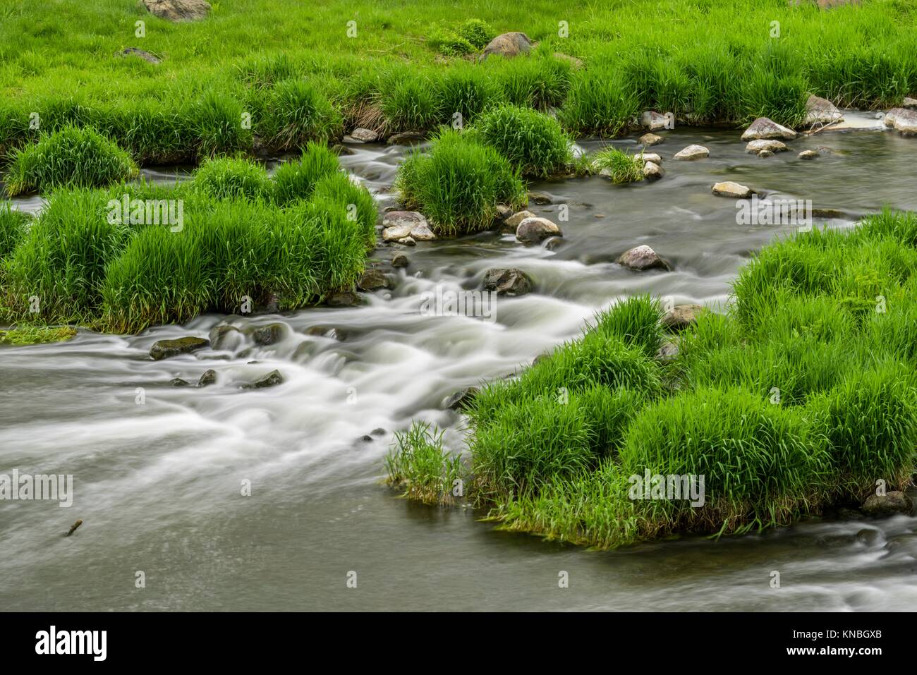 Junction Creek in spring, Greater Sudbury, Ontario, Canada Stock Photo ...