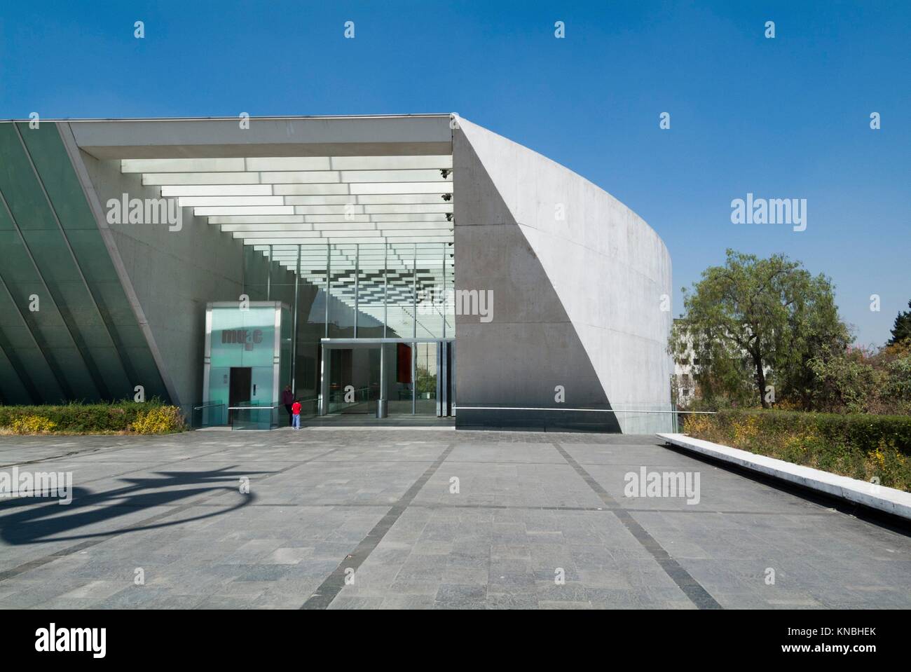 Museo universitario mexico hi-res stock photography and images - Alamy