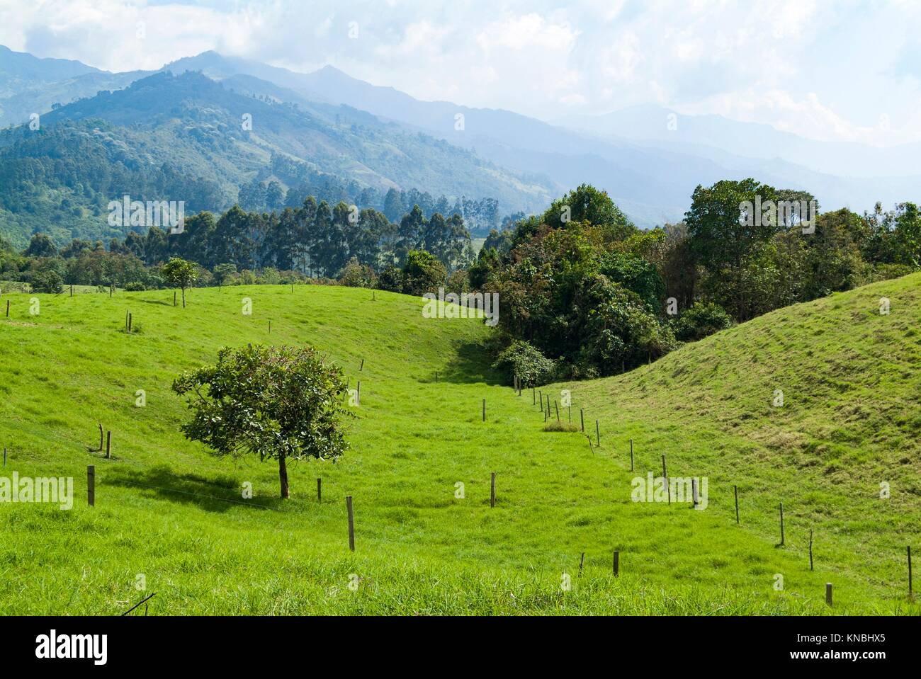Countryside near Salento, Colombia, South America Stock Photo - Alamy