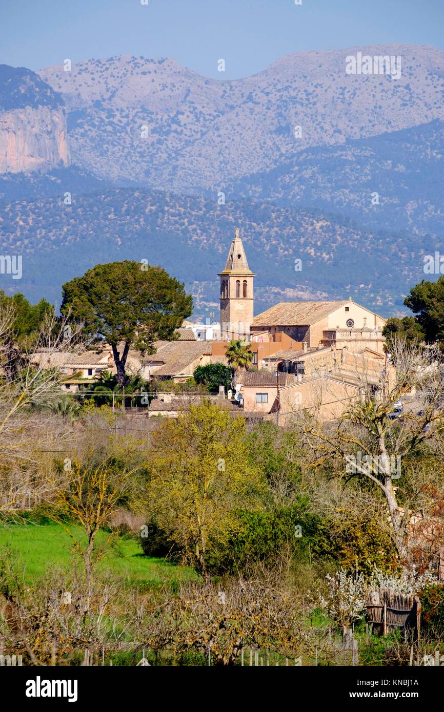 Sencelles majorca hi-res stock photography and images - Alamy