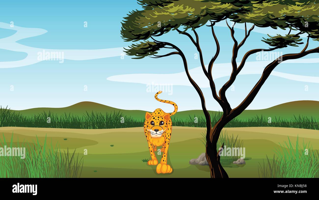 Illustration of a leopard and a tree Stock Vector Image & Art - Alamy