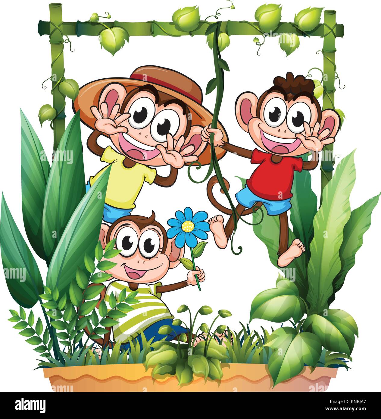 Illustration of three monkeys playing on a white background Stock ...