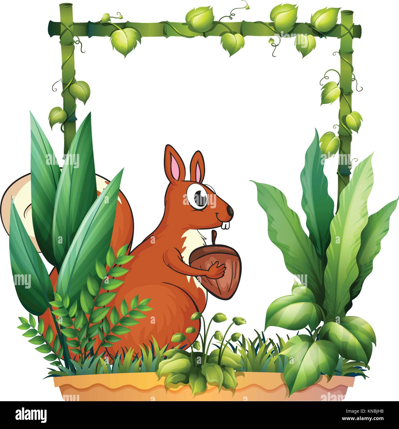 Illustration of a squirrel and the nut on a white background Stock ...