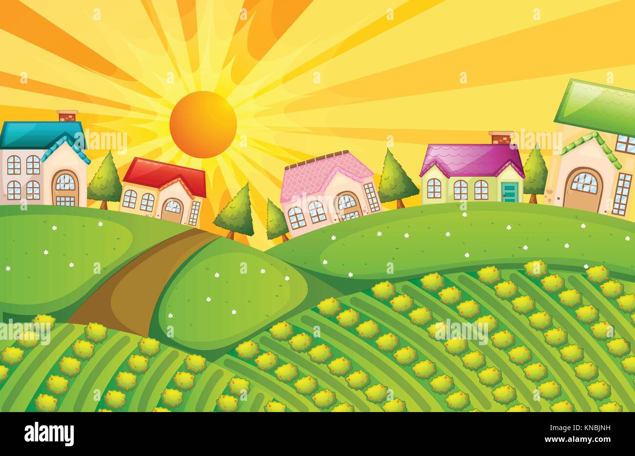Orchard rows sun Stock Vector Images - Alamy