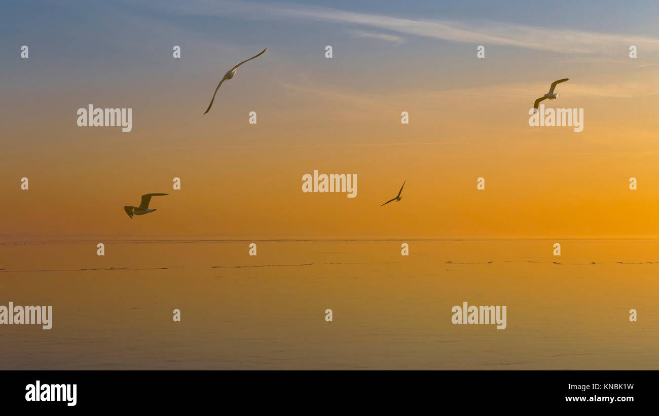 Colorful sunset over the lake Balaton in Hungary Stock Photo - Alamy