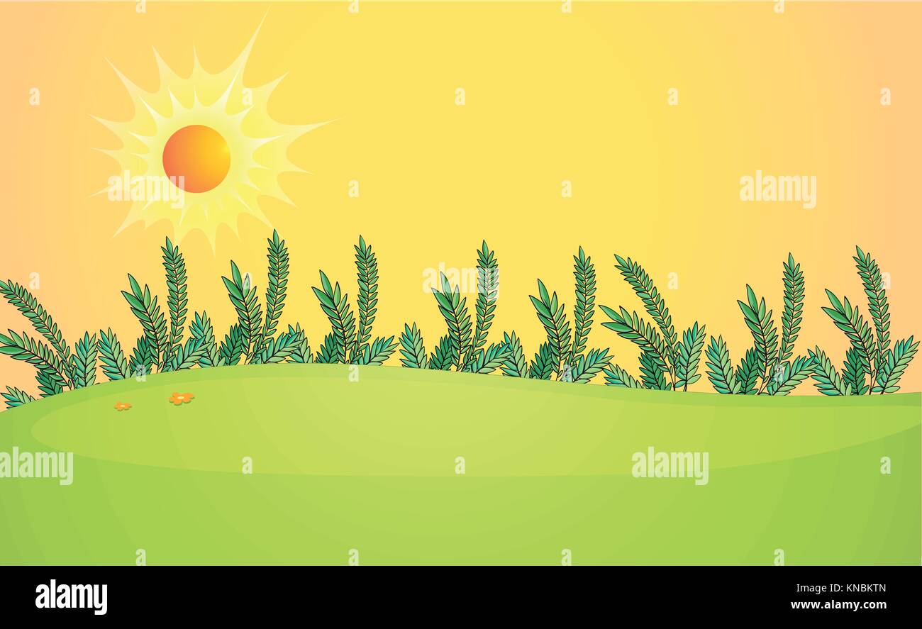 Image of plants and sun Stock Vector Images - Alamy