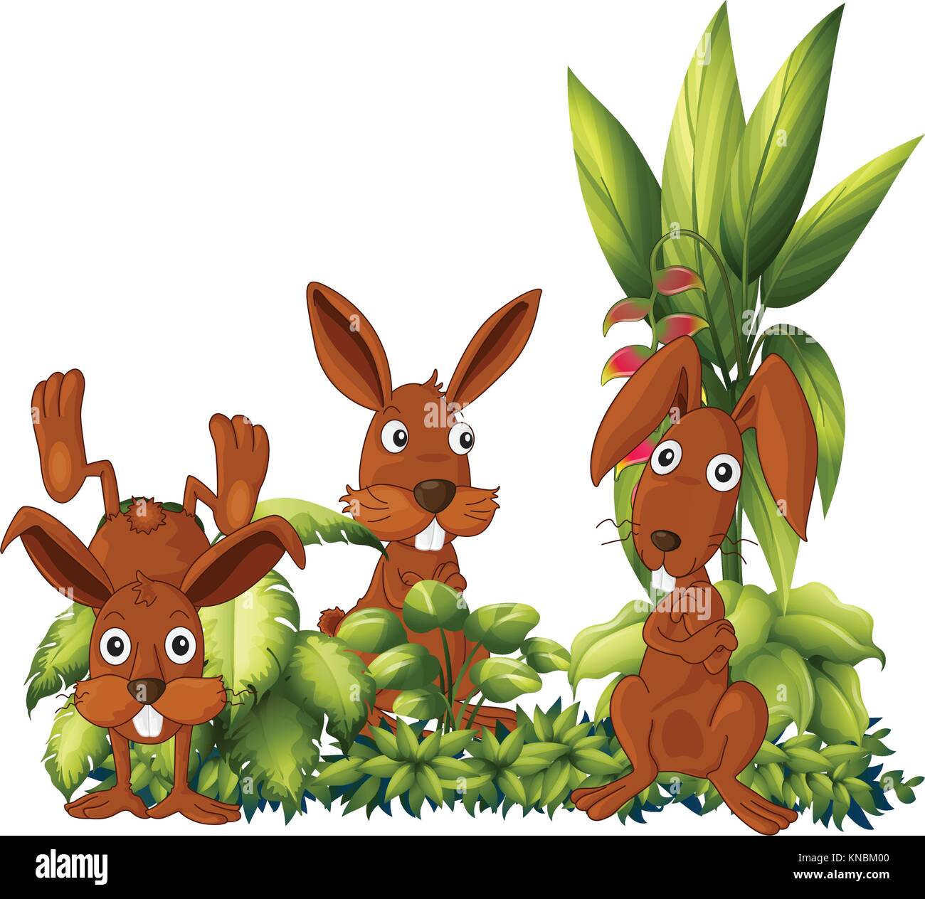 Illustration of the three rabbits on a white background Stock Vector ...