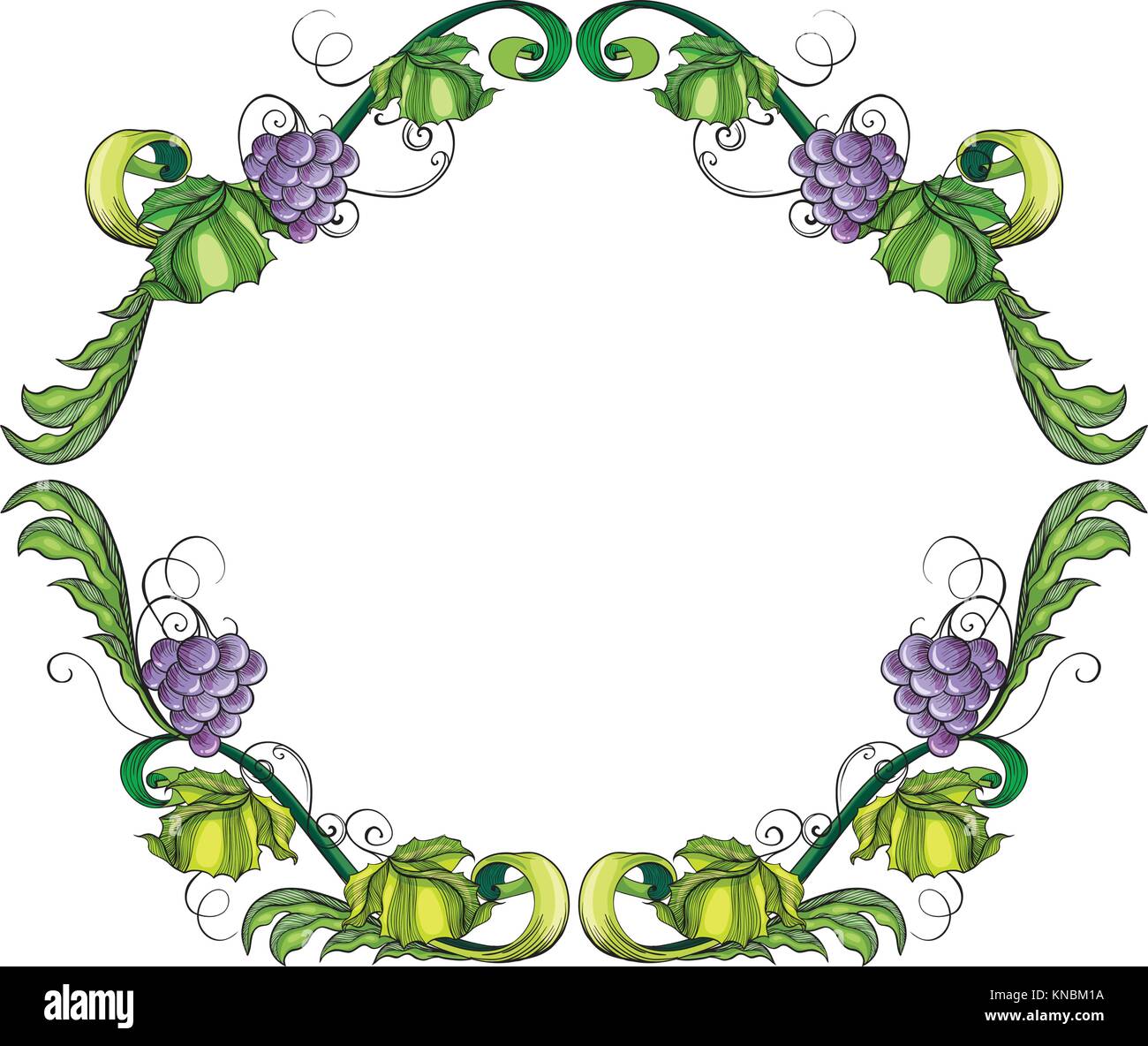 Grapevine Clipart Borders
