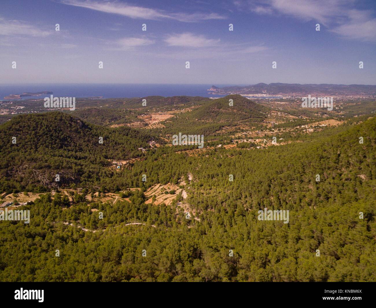 Ibiza Birds High Resolution Stock Photography and Images - Alamy