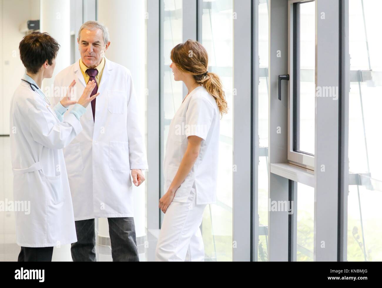 Nurses Talking High Resolution Stock Photography and Images - Alamy