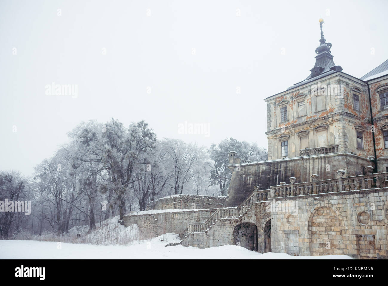 The view of the old isolated gothic castle covered with fluffy snow ...