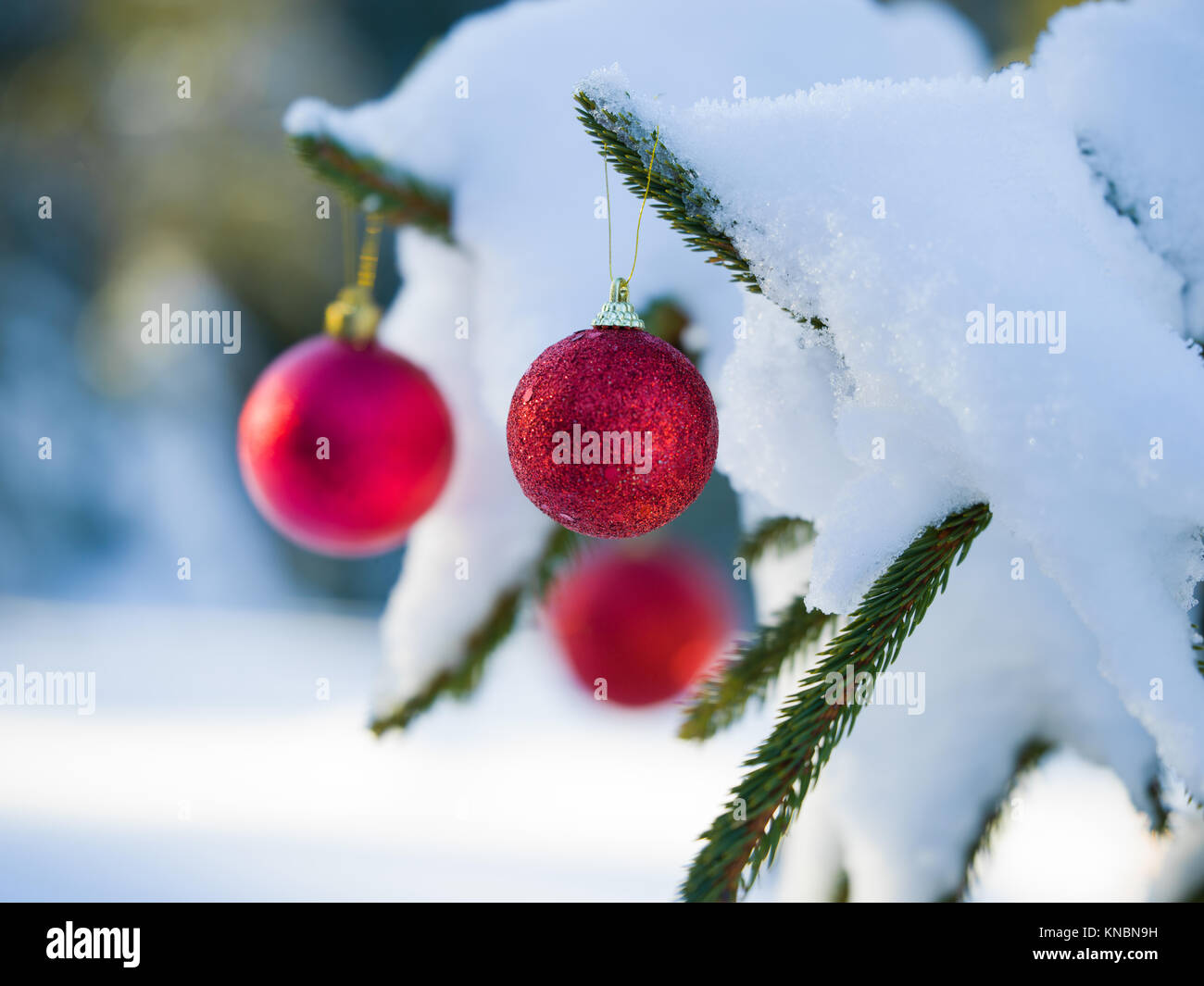 christmas tree red ball decoration with real snow Stock Photo - Alamy
