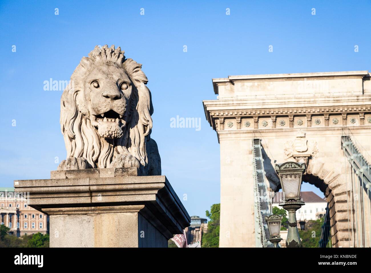 Iconic symbol of Budapest - the statue of the lion at the beginning of ...