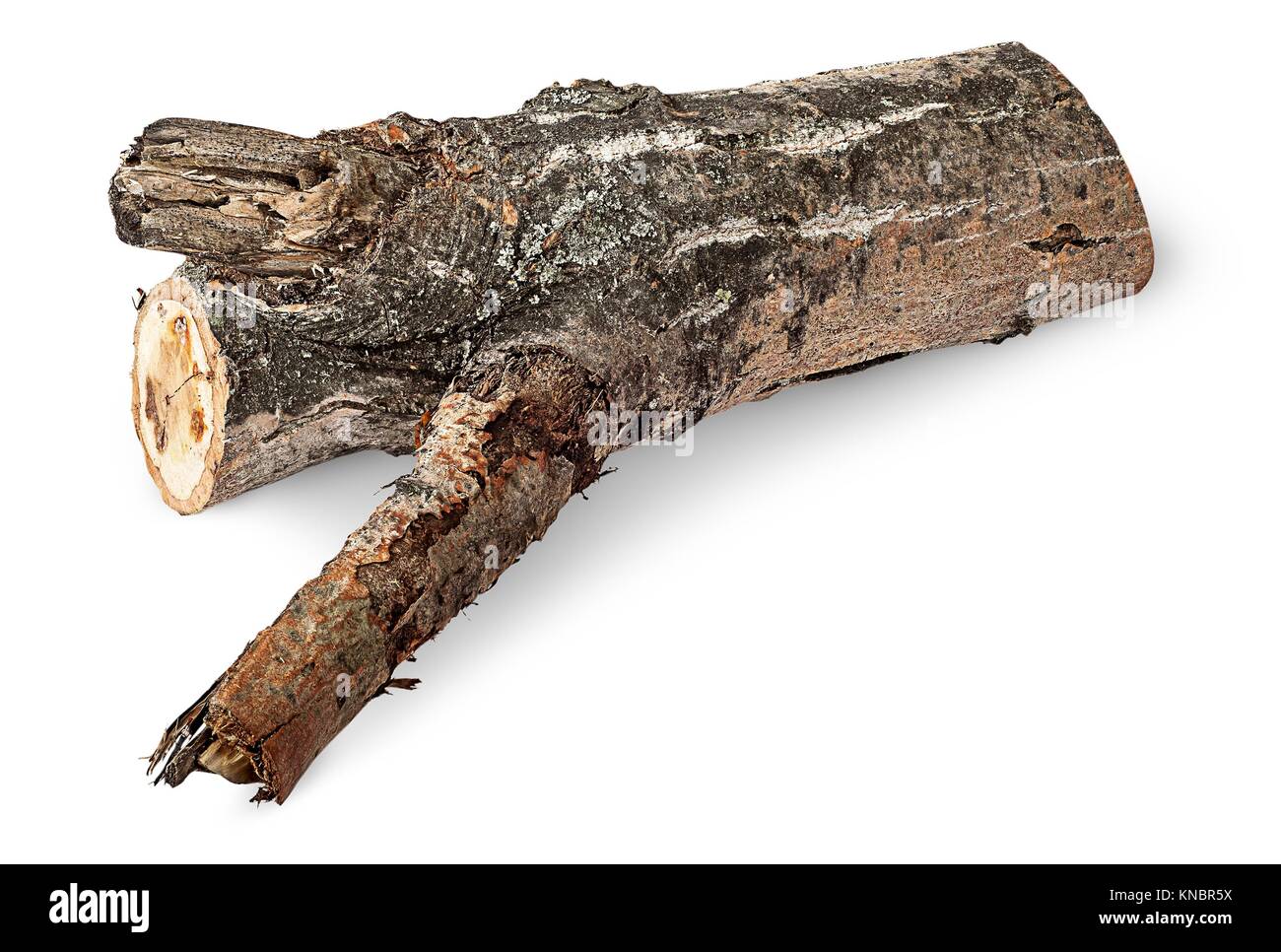 Single log of wood hi-res stock photography and images - Alamy