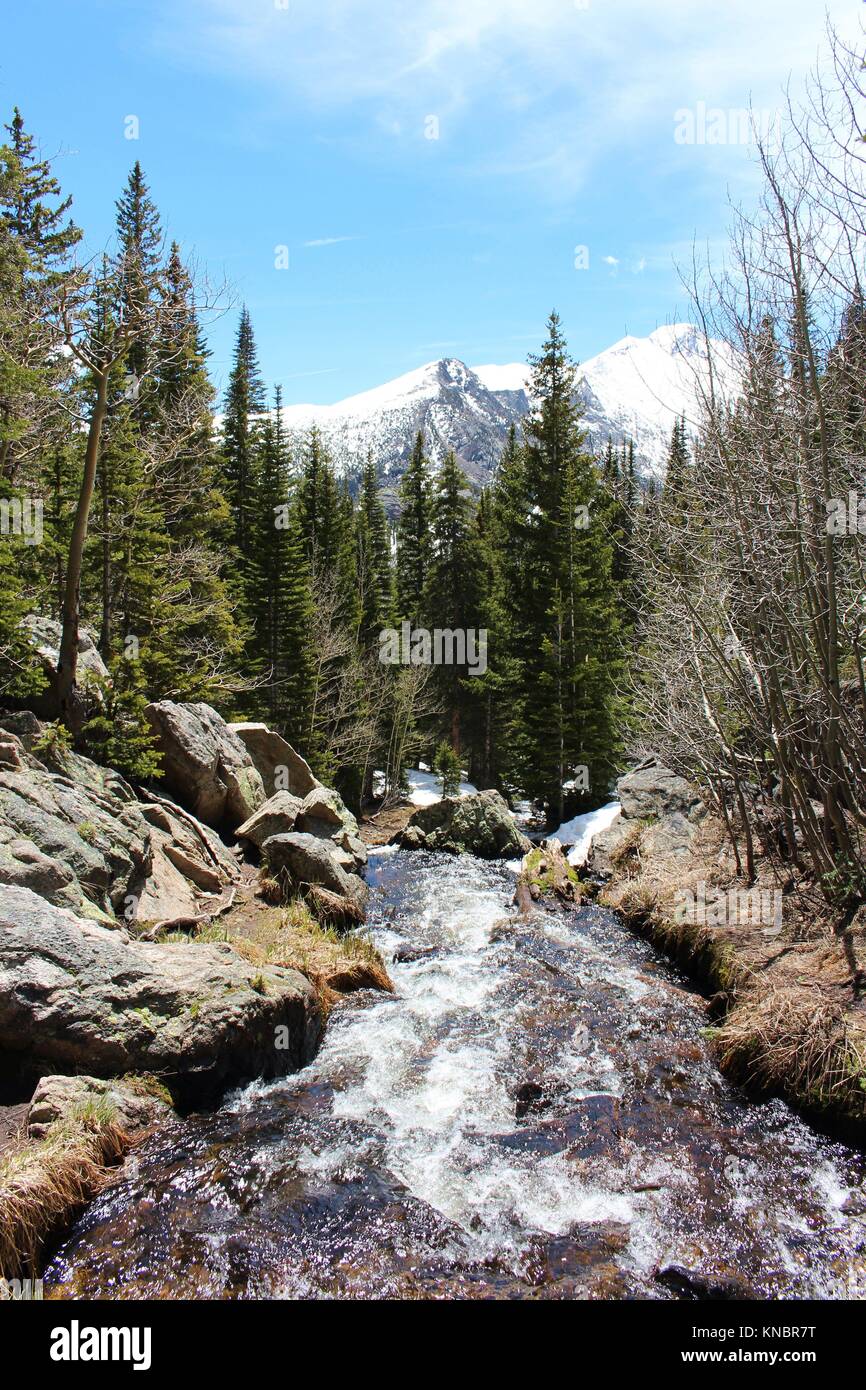 Rocky Mountain Stream