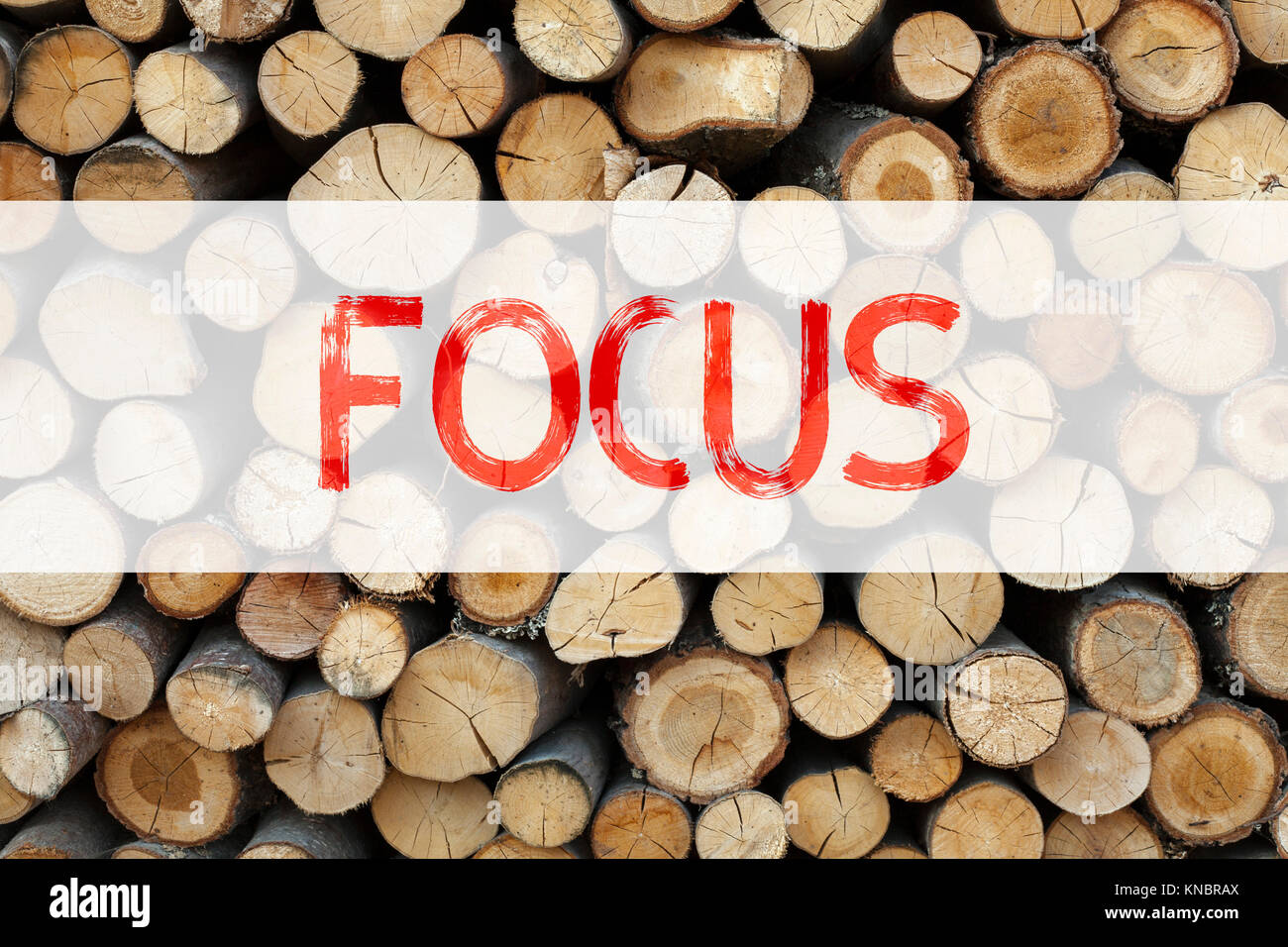 Conceptual announcement text caption inspiration showing Focus Business ...