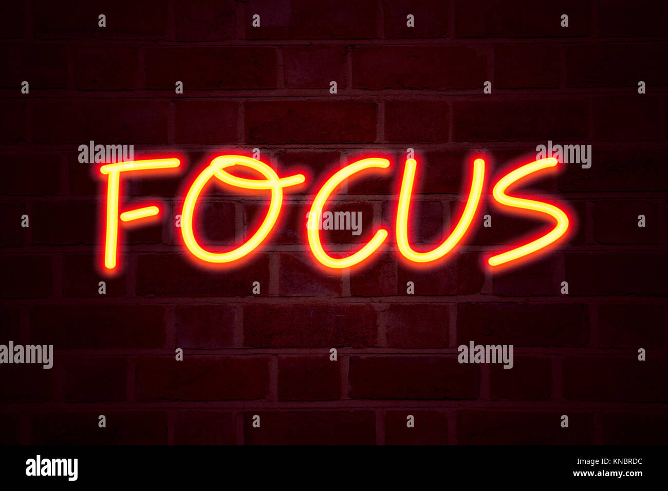 Focus neon sign on brick wall background. Fluorescent Neon tube Sign on ...