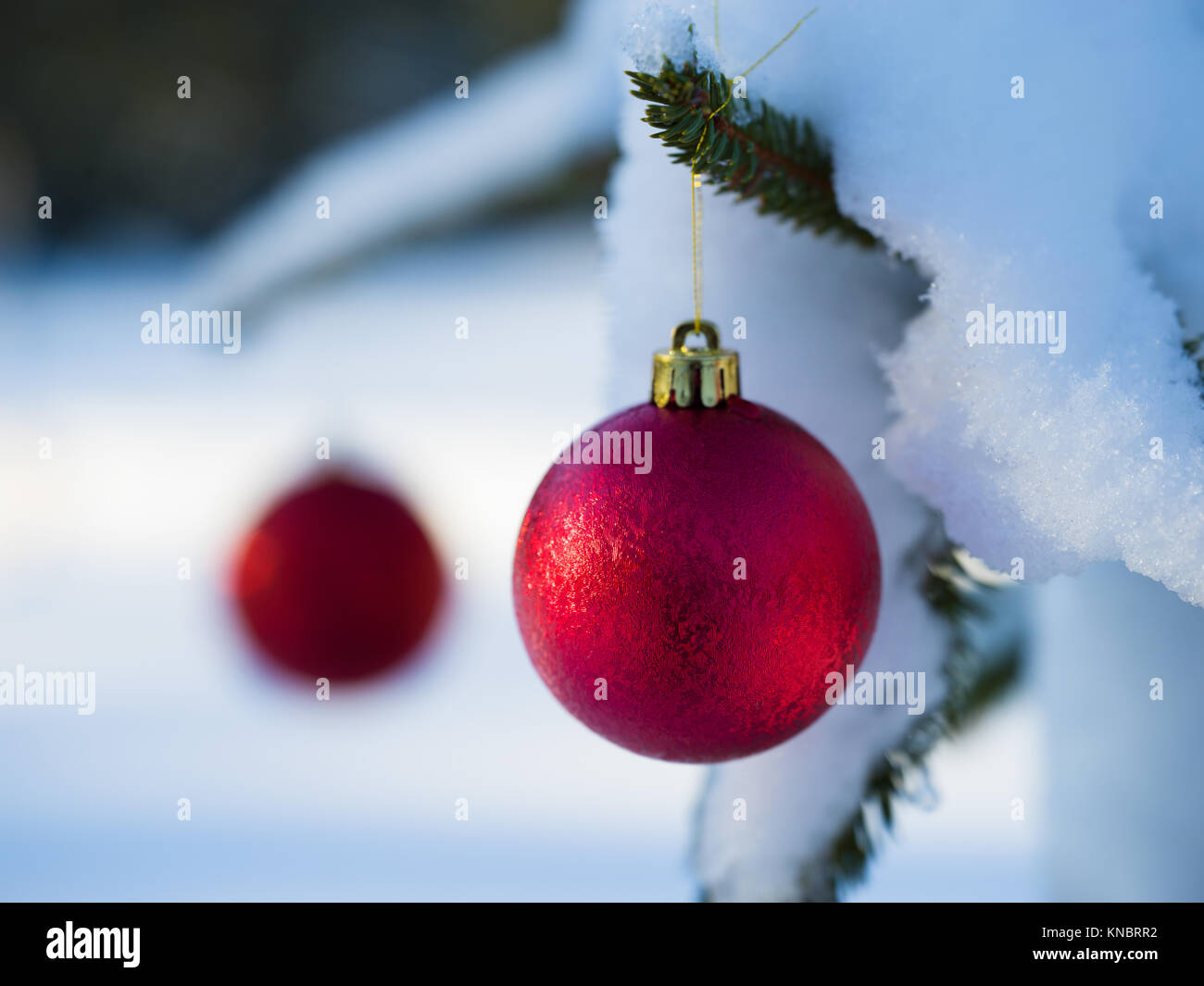 christmas tree red ball decoration with real snow Stock Photo - Alamy