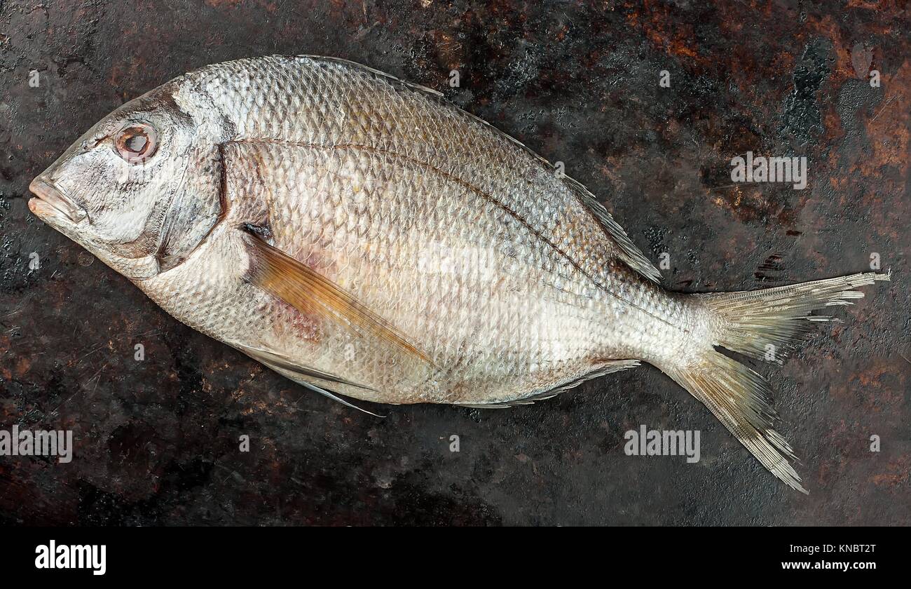 Black pan hi-res stock photography and images - Alamy