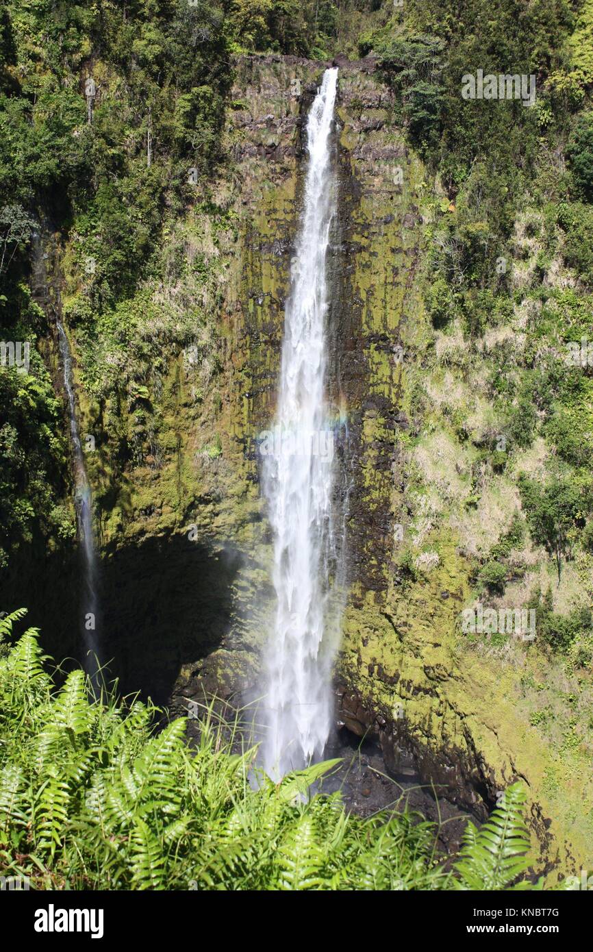 Double waterfall in rainforest hi-res stock photography and images - Alamy